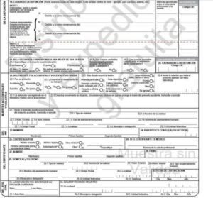 ⊛ Certificado de defunción •【2024】