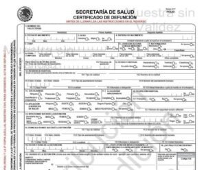 ⊛ Certificado de defunción •【2024】